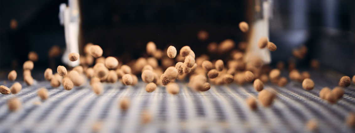 Proceso de extrusión de alimentos | Bausano